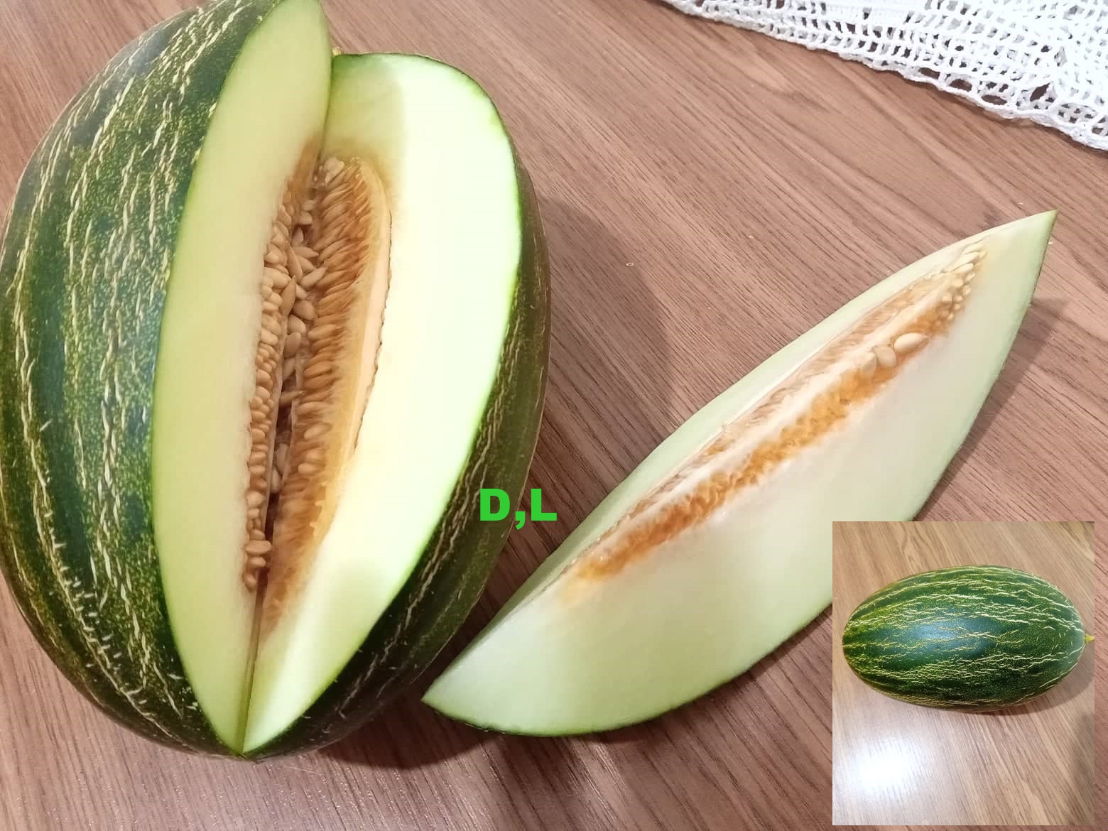 Piel de Sapo Dinja -Jedna od najboljih dinja na svetu,Neverovatno ukusa ...